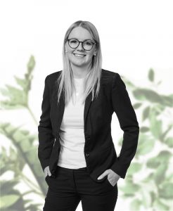 Individuelle Datenverarbeitung (IDV) - Krause und Schopp